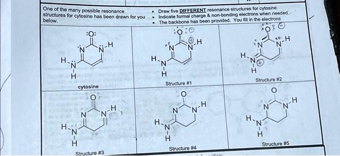 SOLVED: One of the many possible resonance Draw five DIFFERENT resonance structures for cytosine ...