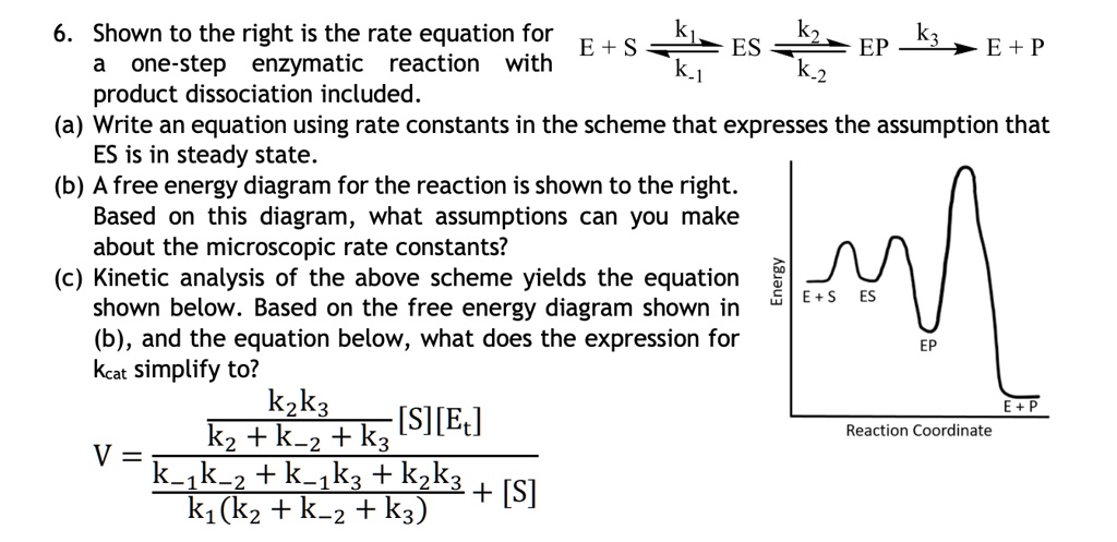 SOLVED: Shown to the right is the rate equation for E + S â‡Œ E + P, a ...