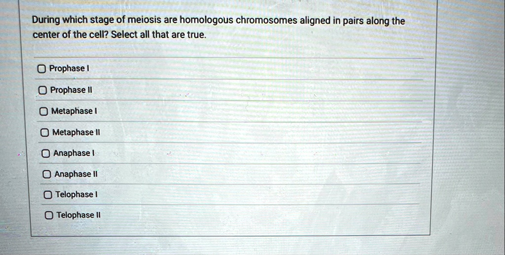 during which stage of meiosis are homologous chromosomes aligned in ...