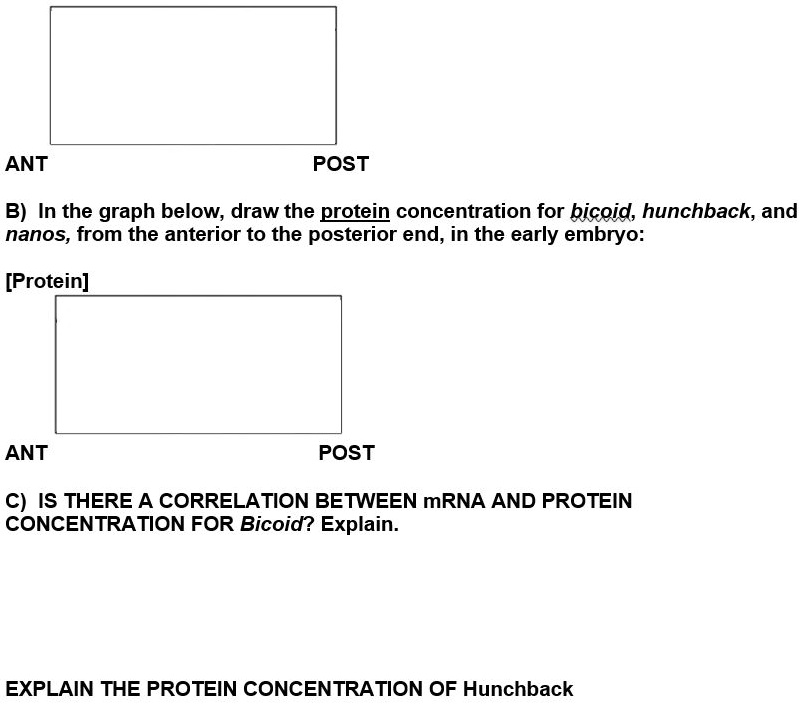 SOLVED: ANT POST B) In the graph below, draw the protein concentration ...