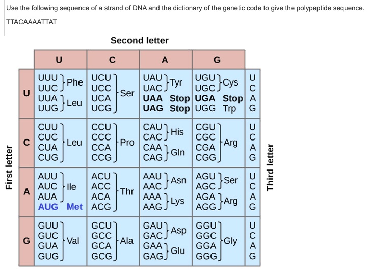 SOLVED: Use the following sequence of the DNA strand and the dictionary of the genetic code to ...