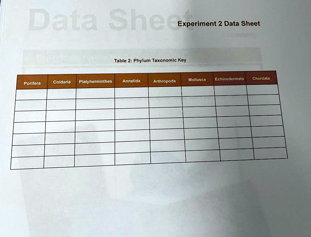 Solved Data Shee Experiment 2 Data Sheet Table 2 Phylum Taxonomic Key