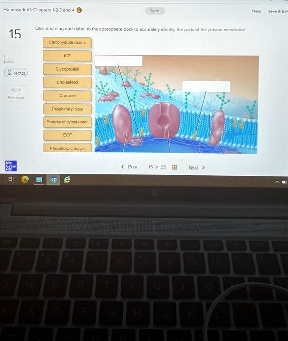 Homework #1: Chapters 1-2-3 and 4 15 Saved Click and drag each label to the appropriate dock to ...