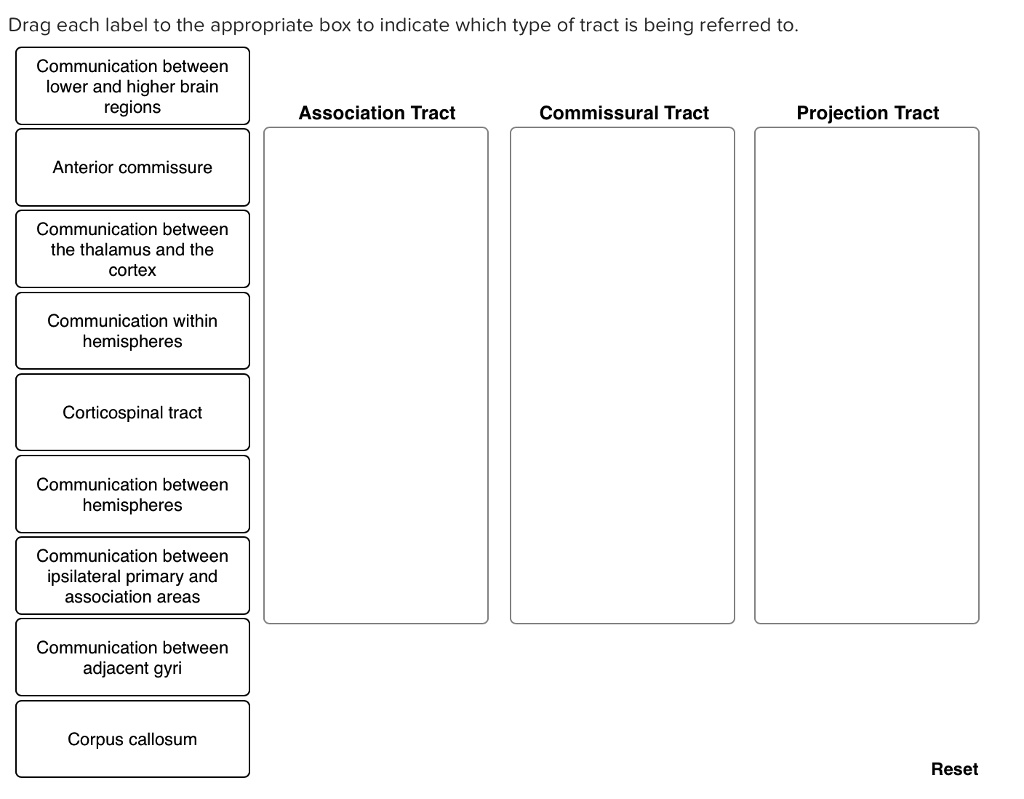 SOLVED: Drag each label to the appropriate box to indicate which type ...