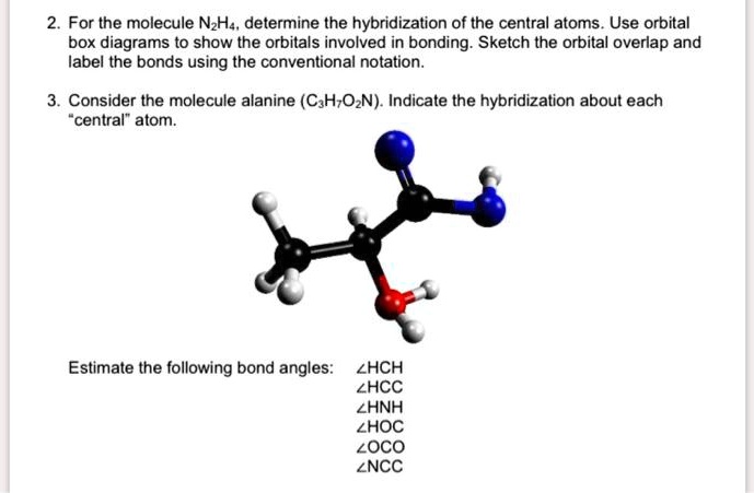 SOLVED: For the molecule NH3, determine the hybridization of the ...