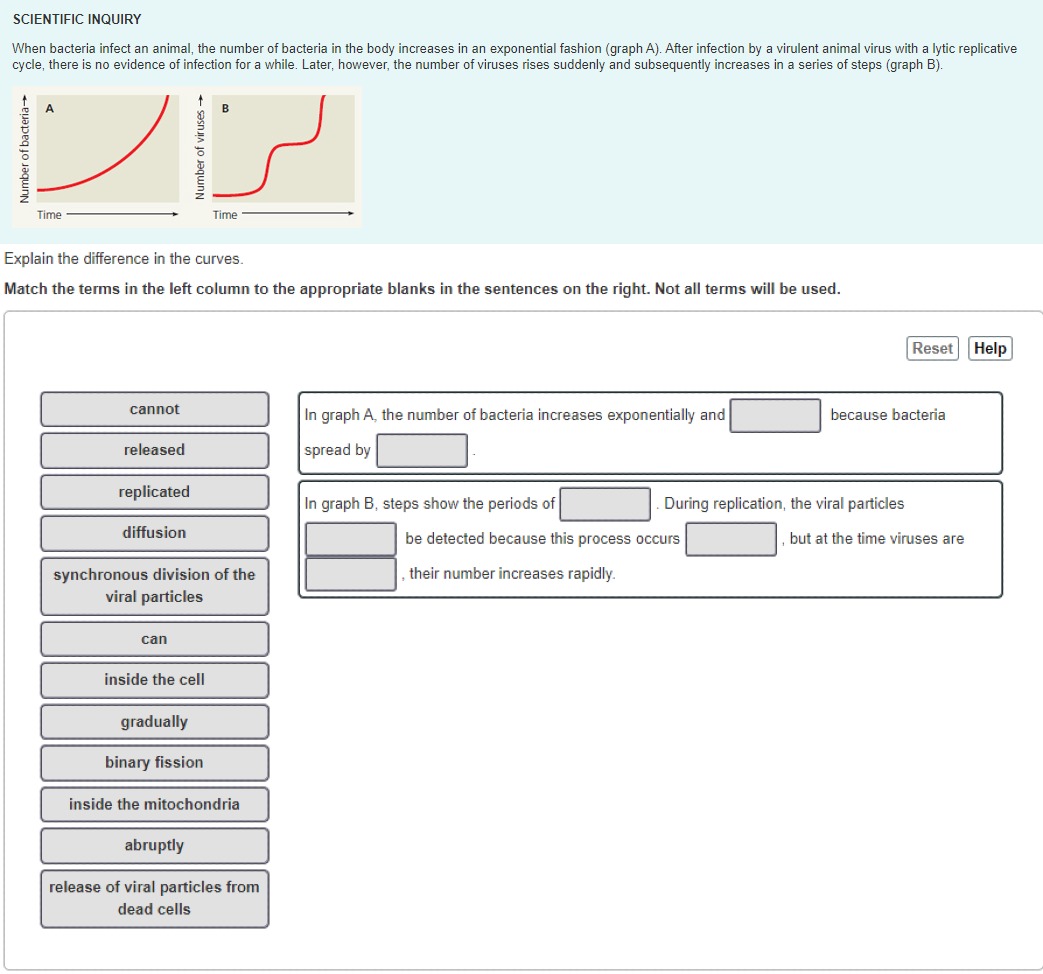 SCIENTIFIC INQUIRY When bacteria infect an animal, the number of ...