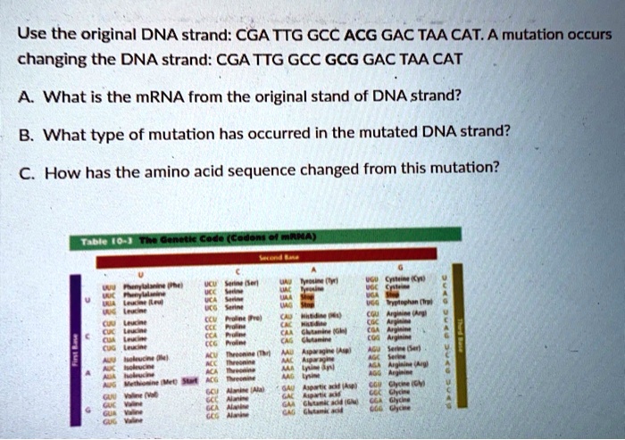 use the original dna strand cga ttg gcc acg gac taa cat a mutation ...