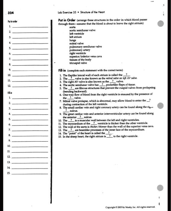 324 lab exercise 35structure of the heart put in order arrange these structures in the order in ...