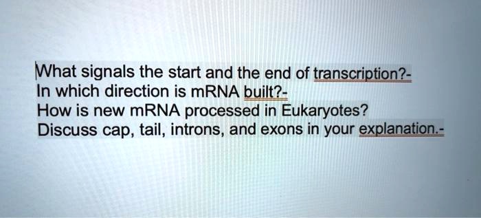 what signals the start and the end of transcription in which direction ...
