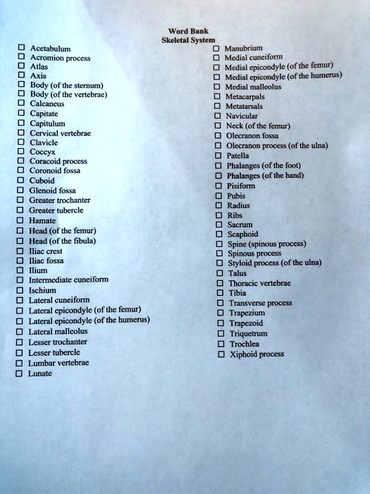 SOLVED: Word Bank Skeletal System Acetabulum Manubrium Acromion process ...