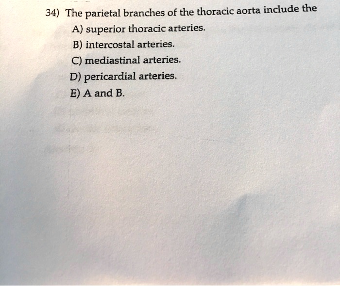 SOLVED: The parietal branches of the thoracic aorta include the A ...