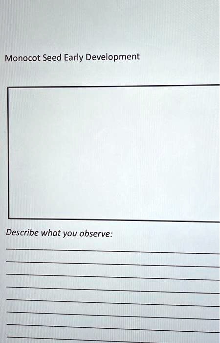 SOLVED: schematic drawing and of monocot seed early development ...