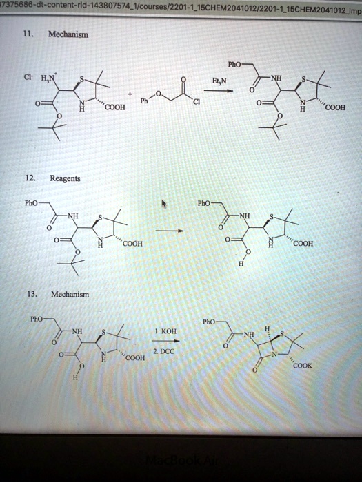 SOLVED:17375686-dt-content-rid-143807574_Icourses/2201-1_15CHEM2041012 ...
