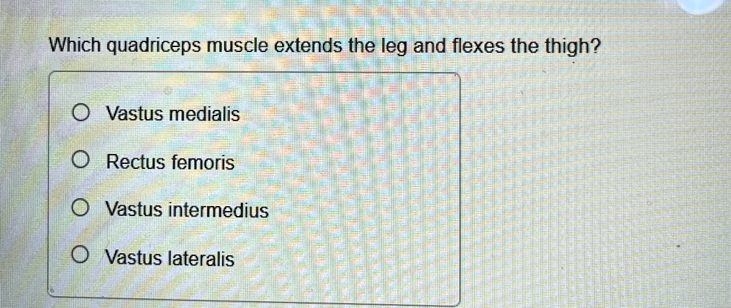 Which quadriceps muscle extends the leg and flexes the thigh? Vastus ...