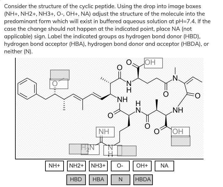 Consider the structure of the cyclic peptide. Using the drop into image ...