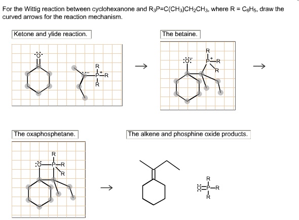 For the Wittig reaction between cyclohexanone and R3P=C(CH3)CH2CH3 ...