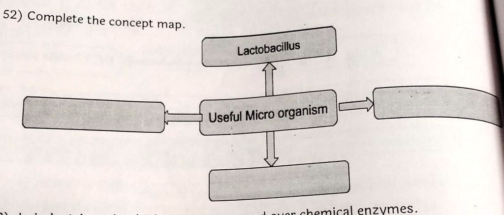 SOLVED: '52) Complete the concept map.LactobacillusUseful Micro ...
