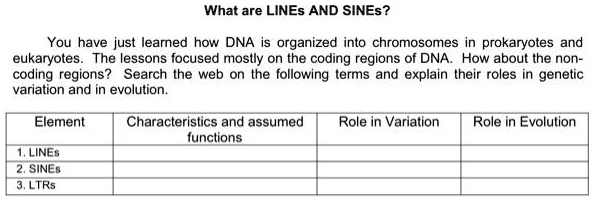 SOLVED:What are LINEs AND SINEs? You have just learned how DNA is ...