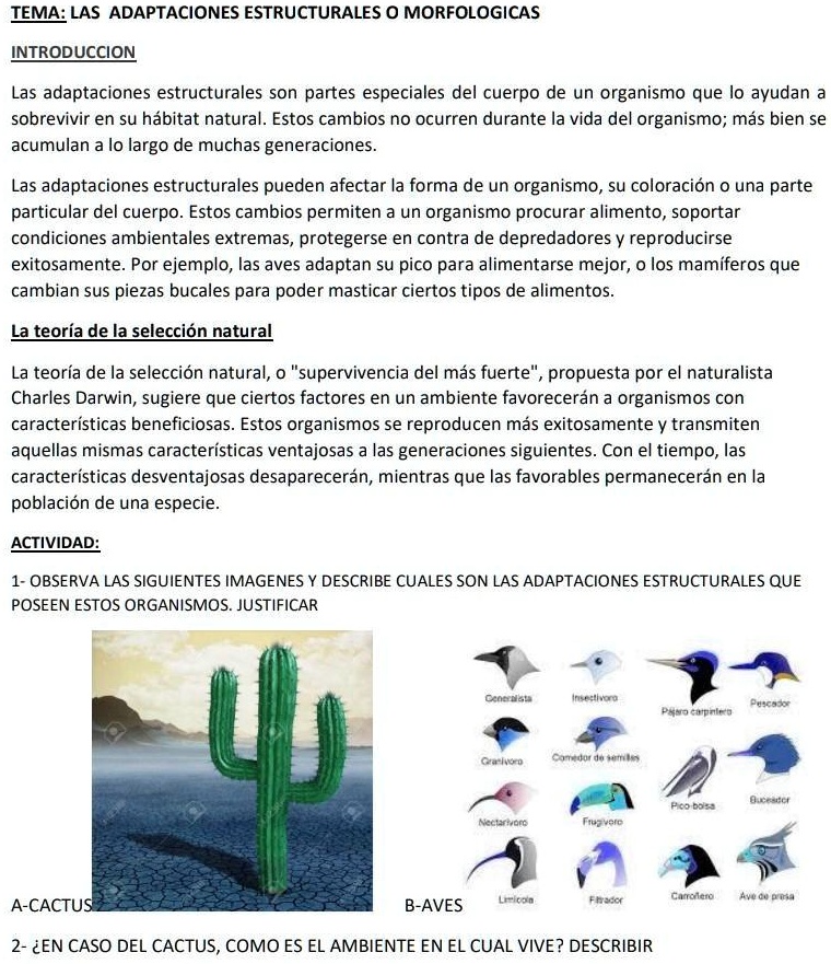 SOLVED: nesecito ayuda para terminar mí tarea IEMA: LAS ADAPTACIONES ...