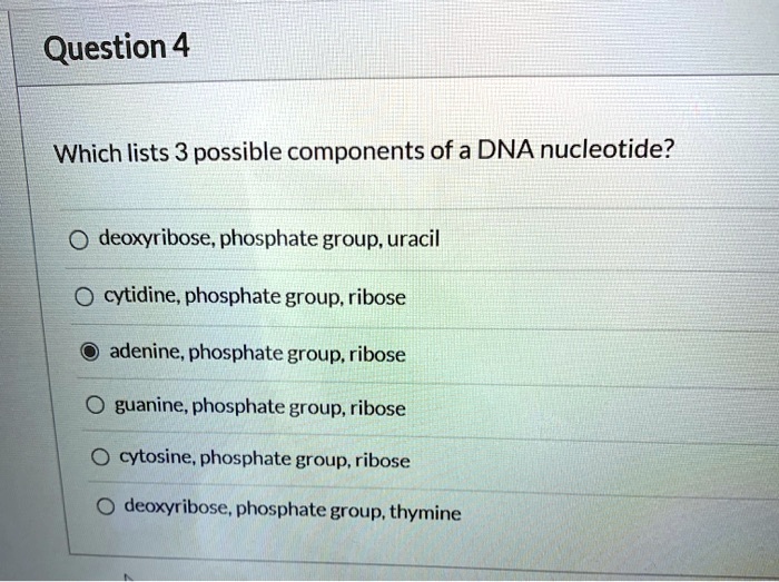 What Are The Three Parts Of A Dna Nucleotide Group Of Answer Choices at Hazel Lawson blog