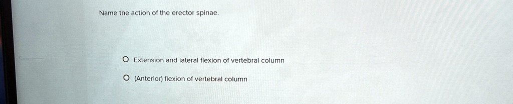 Name the action of the erector spinae. O Extension and lateral flexion ...