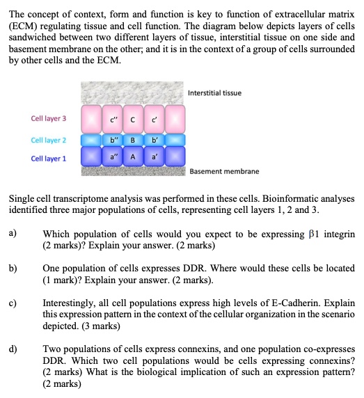 The concept of context, form and function is key to function of ...