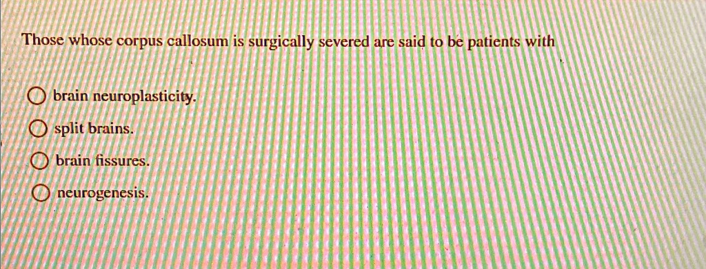 Those whose corpus callosum is surgically severed are said to be ...