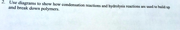 2. Use diagrams to show how condensation reactions and hydrolysis ...