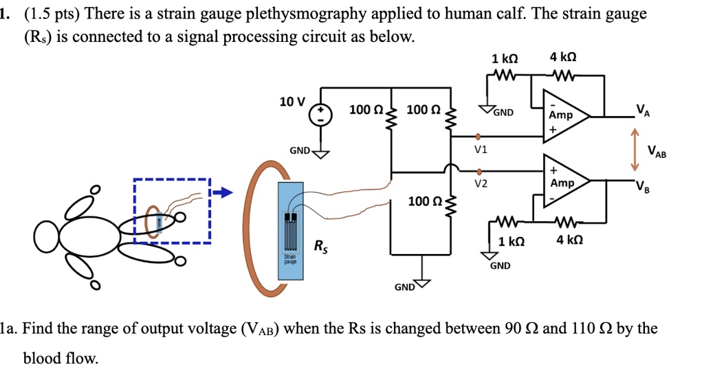 SOLVED: There is a strain gauge plethysmography applied to the human ...