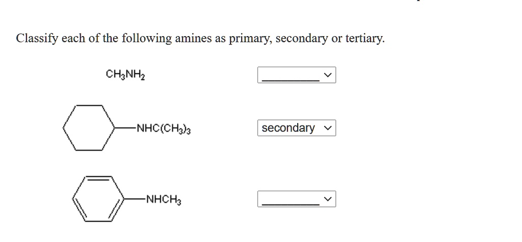 Text: Classify each of the following amines as primary, secondary, or tertiary: CH3NH2 NHC(CH3)3 ...