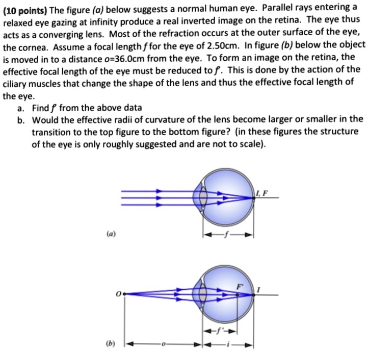 10 pointsthe figurea below suggests a normal human eye parallel rays ...