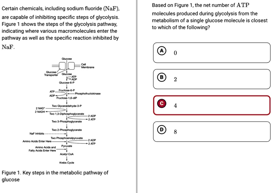 certain chemicals including sodium fluoride naf are capable of ...