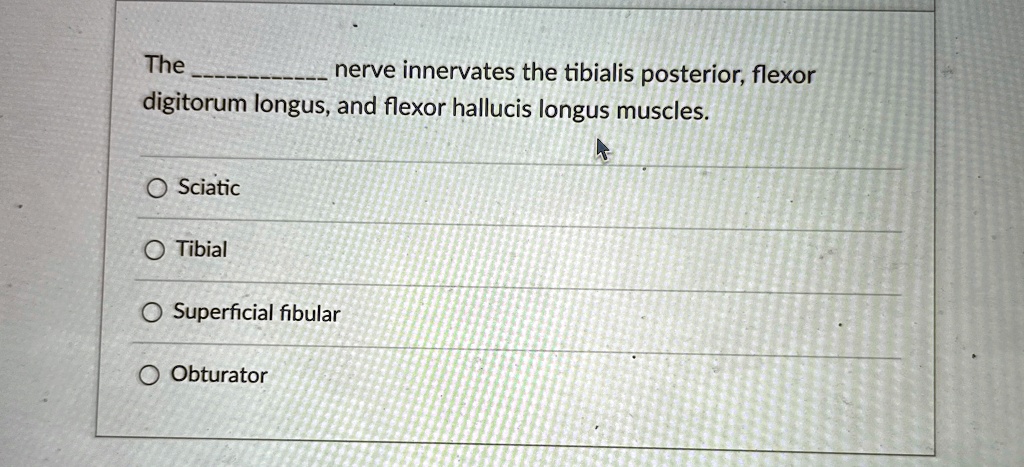 The nerve innervates the tibialis posterior, flexor digitorum longus ...