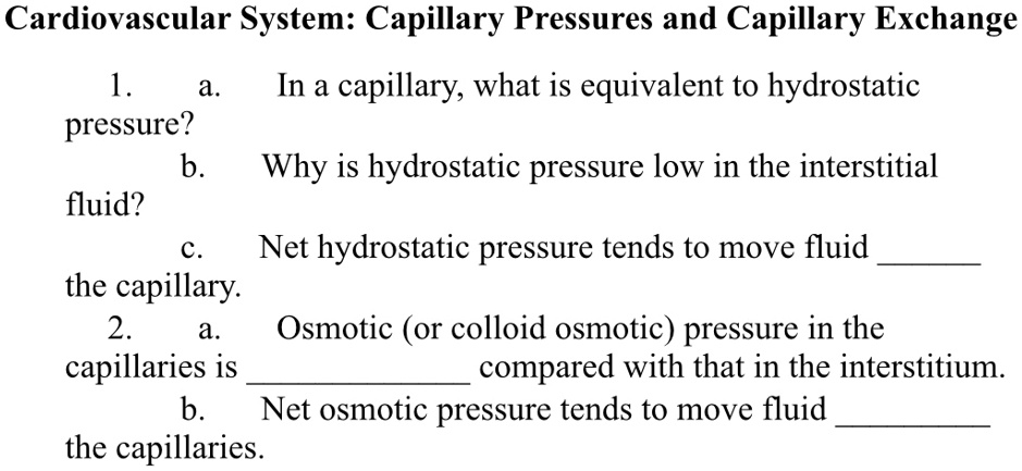 SOLVED: 'Cardiovascular System: Capillary Pressures and Capillary Exchange 1 In a capillary ...