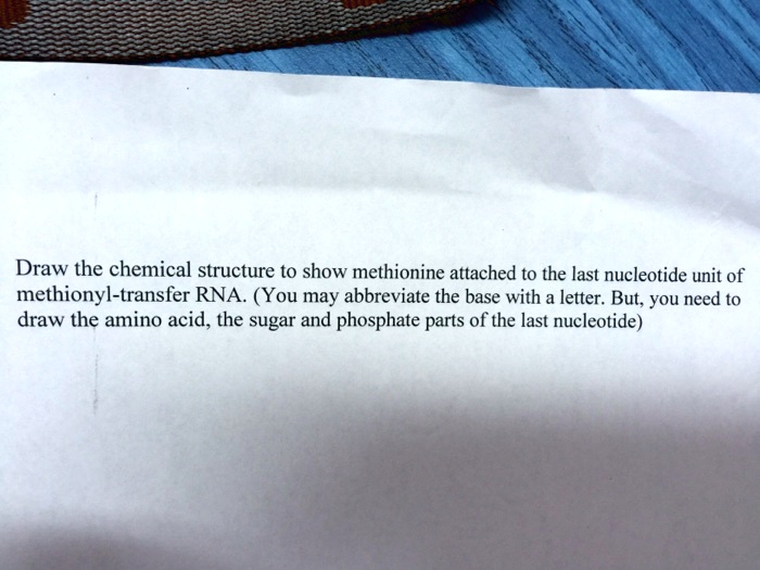 draw the chemical structure to show methionine attached to the last ...