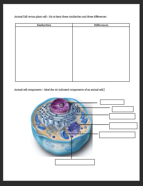 SOLVED: Animal Cell versus plant cell - list at least three ...