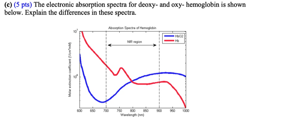 c 5 pts the electronic absorption spectra for deoxy and oxy hemoglobin ...