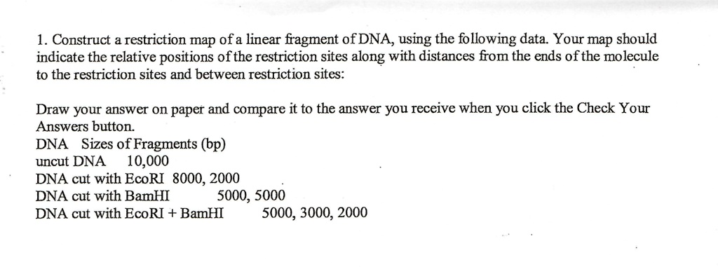 1. Construct a restriction map of a linear fragment of DNA, using the following data. Your map ...