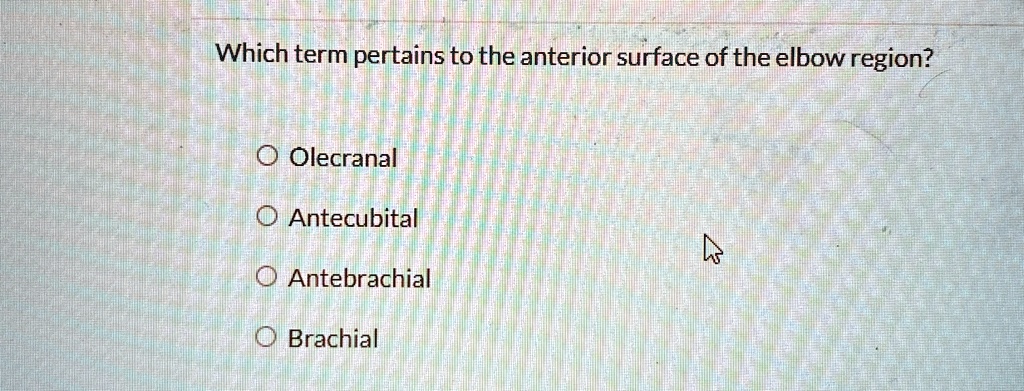 Which term pertains to the anterior surface of the elbow region? O ...