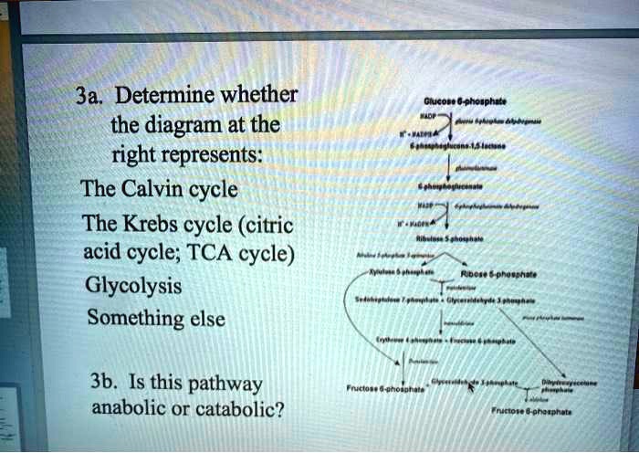 SOLVED:3a. Determine whether the diagram at the right represents: The ...