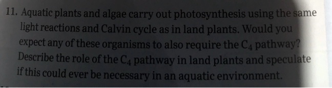 11 aquatic plants and algae carry out photosynthesis using the same ...