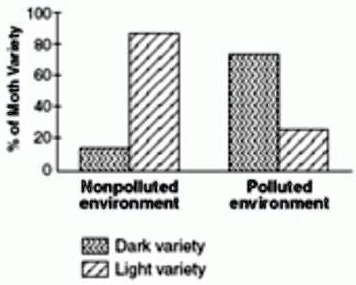 SOLVED: Color in peppered moths is controlled by genes. A light-colored ...