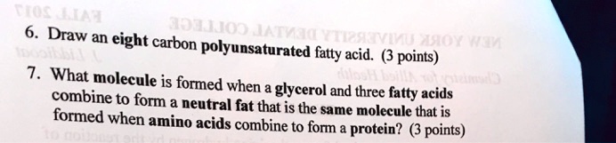 SOLVED: Fiof L1A4 Draw I140 , eight carbon polyunsaturated '/| ('10 ...