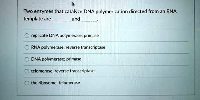 SOLVED: Two enzymes that catalyze DNA polymerization directed from an ...