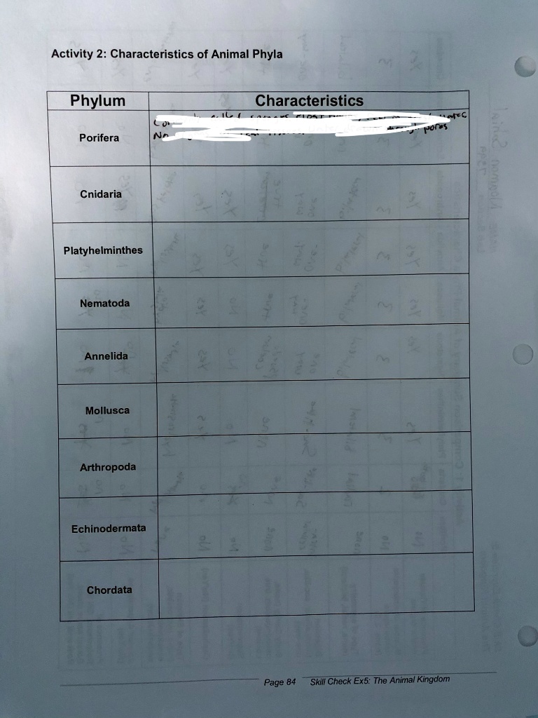 SOLVED: Activity 2: Characteristics of Animal Phyla Phylum ...