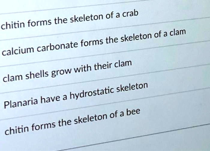 skeleton of a crab chitin forms the skeleton of a clam forms the ...