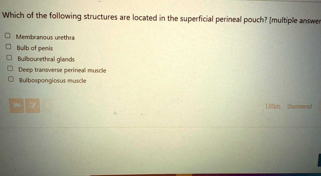 SOLVED: Which of the following structures are located in the ...