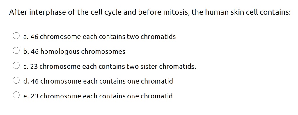 SOLVED: After interphase of the cell cycle and before mitosis, the ...