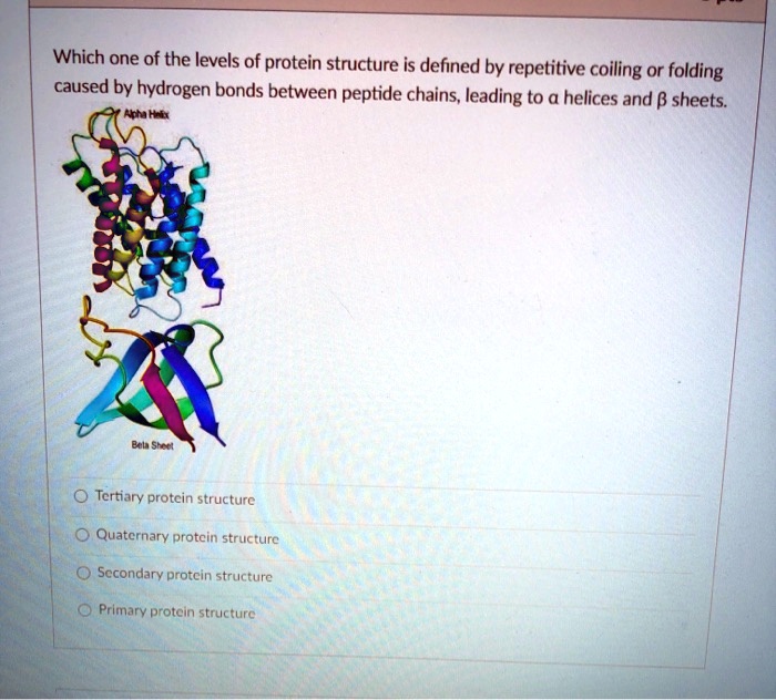 SOLVED: Which one of the levels of protein structure is defined by repetitive coiling or folding ...