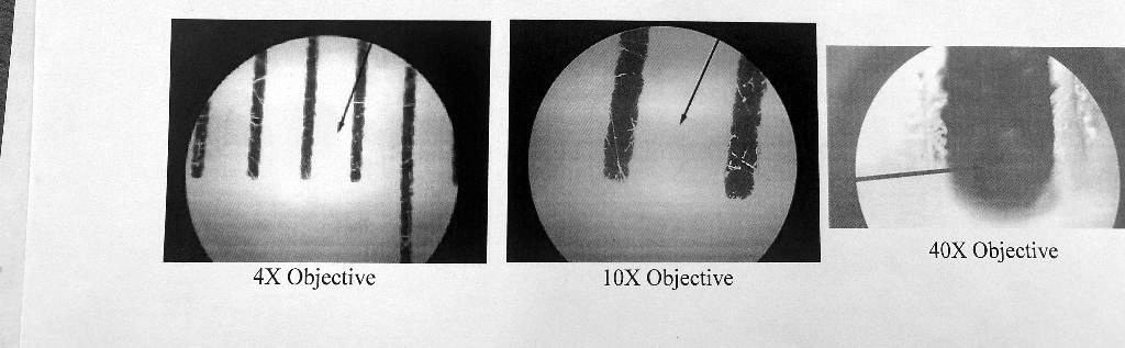 4X Objective 10X Objective 40X Objective